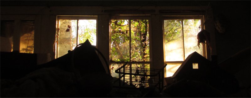 New Update: Clutter Farm – Abandoned NC