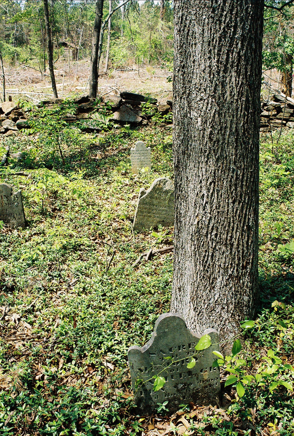 Lewis Cemetery